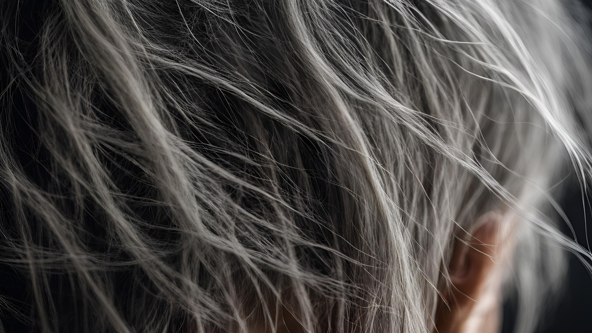 Overcoming Grey Hair Dryness and Texture Changes – MANHATTAN GREY